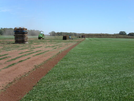 Sod Farm Tour - Easton Sod Farms Inc.