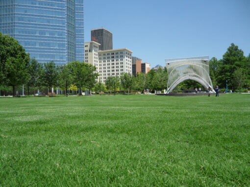 Gallery O' Green - Easton Sod Farms Inc.